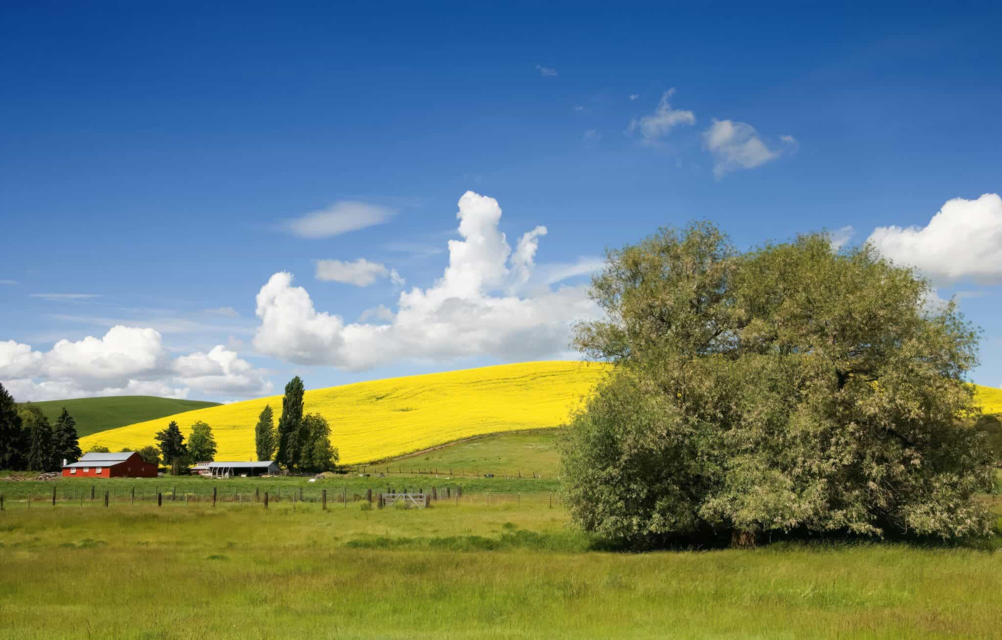 Living in Parma: The Ultimate Guide - This Is Idaho
