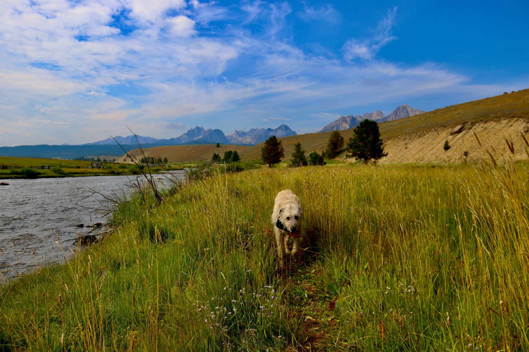 Living in Wilder: The Ultimate Guide - This Is Idaho